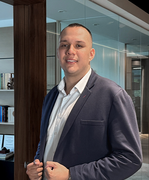 Octavio Castillo - Godoy